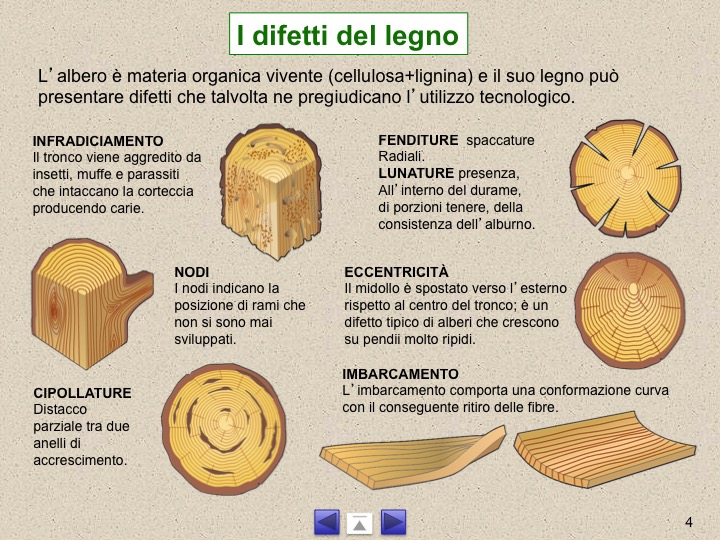Il legno - Power Point