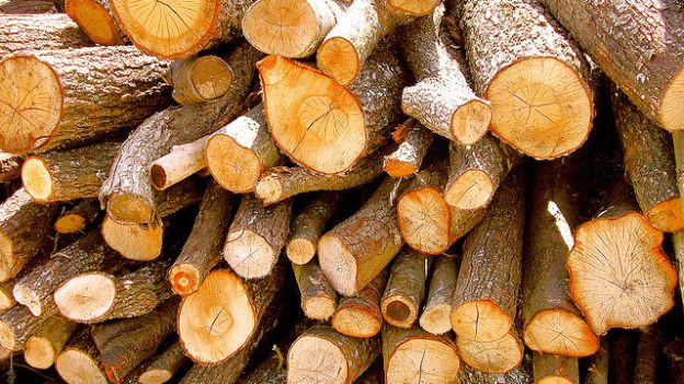 legno
